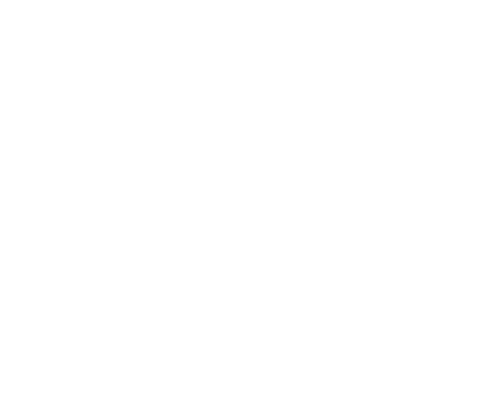 Home - Burrows Financial
